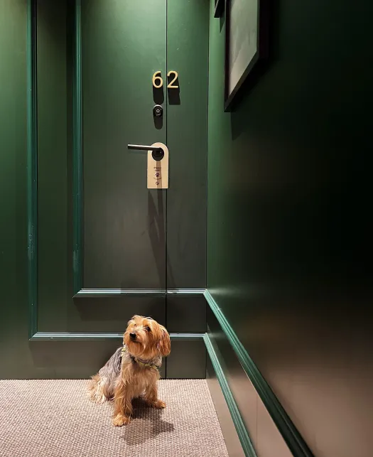 Hoteles para mascotas | Garden Hotels - Oficial